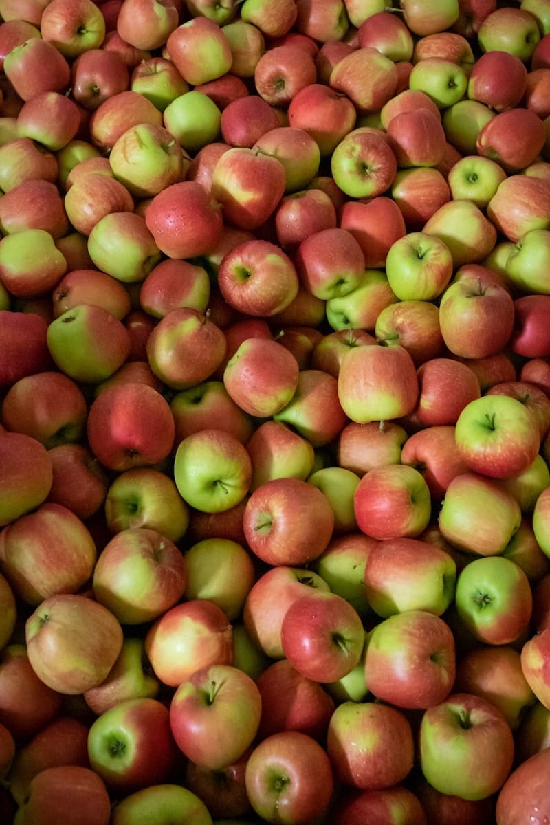 Releases - CIDERCRAFT
